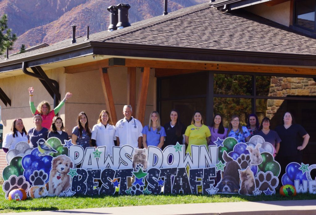 About Centennial Animal Hospital - Colorado Springs, CO Veterinarian